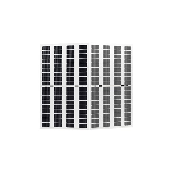 Raytech Double-Glass Modules | High-Transparency | Bifacial Solar ...